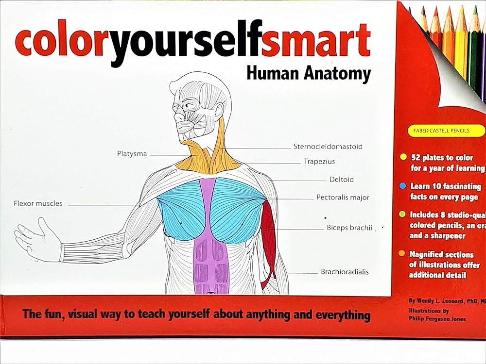 Color Yourself Smart: Human Anatomy – Funzone