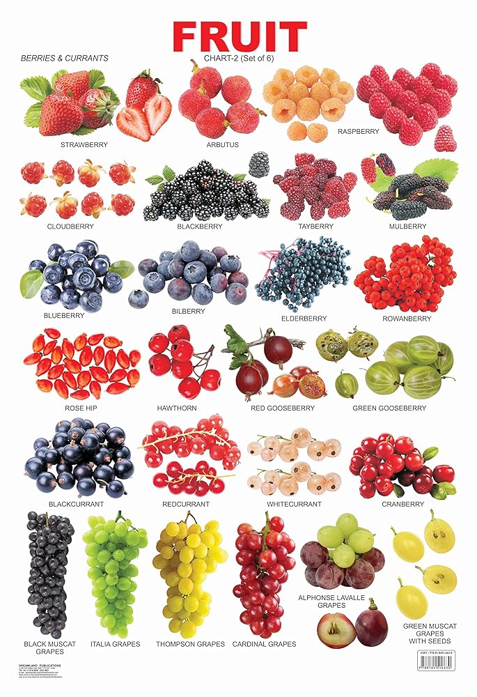 Pre School Fruit Charts - 2 – Funzone
